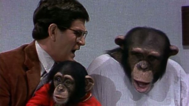 SNL Highlights of the 1980s – Entertainment Junkie Blog